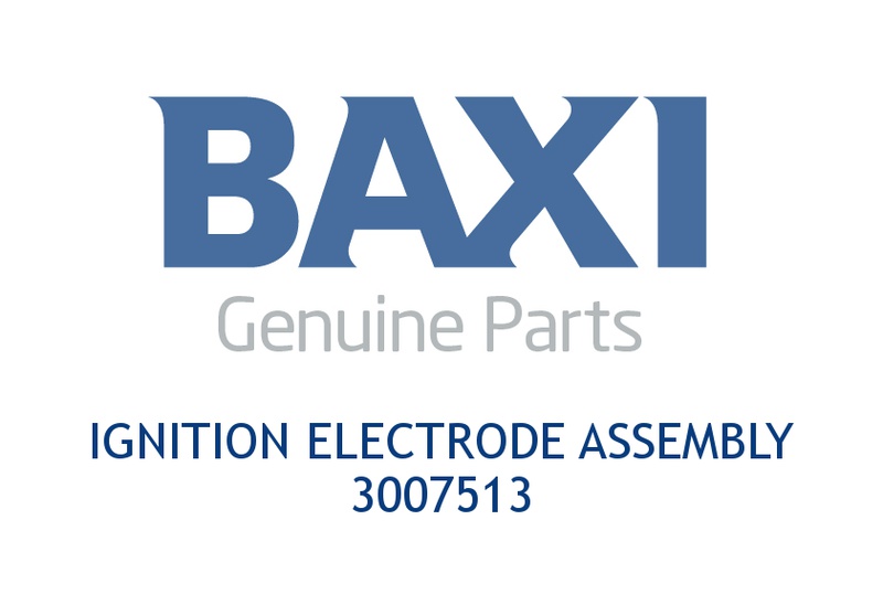 IGNITION ELECTRODE ASSEMBLY